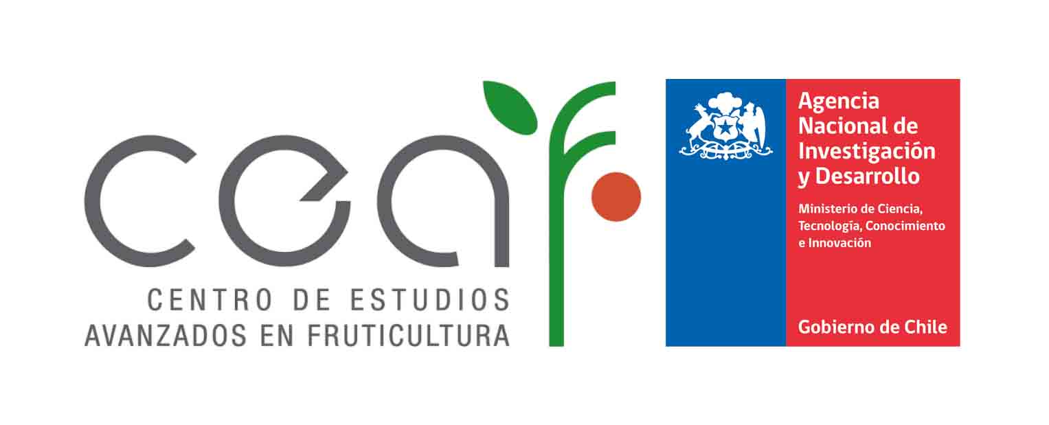 CONCURSO CARGO POSTDOCTORAL: Centro de Estudios Avanzados en Fruticultura (CEAF) Proyecto ...